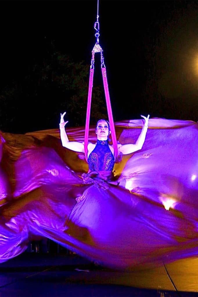 Standard Straps - Stirrup Straps - Trix Circus - Your Safety is Our ...