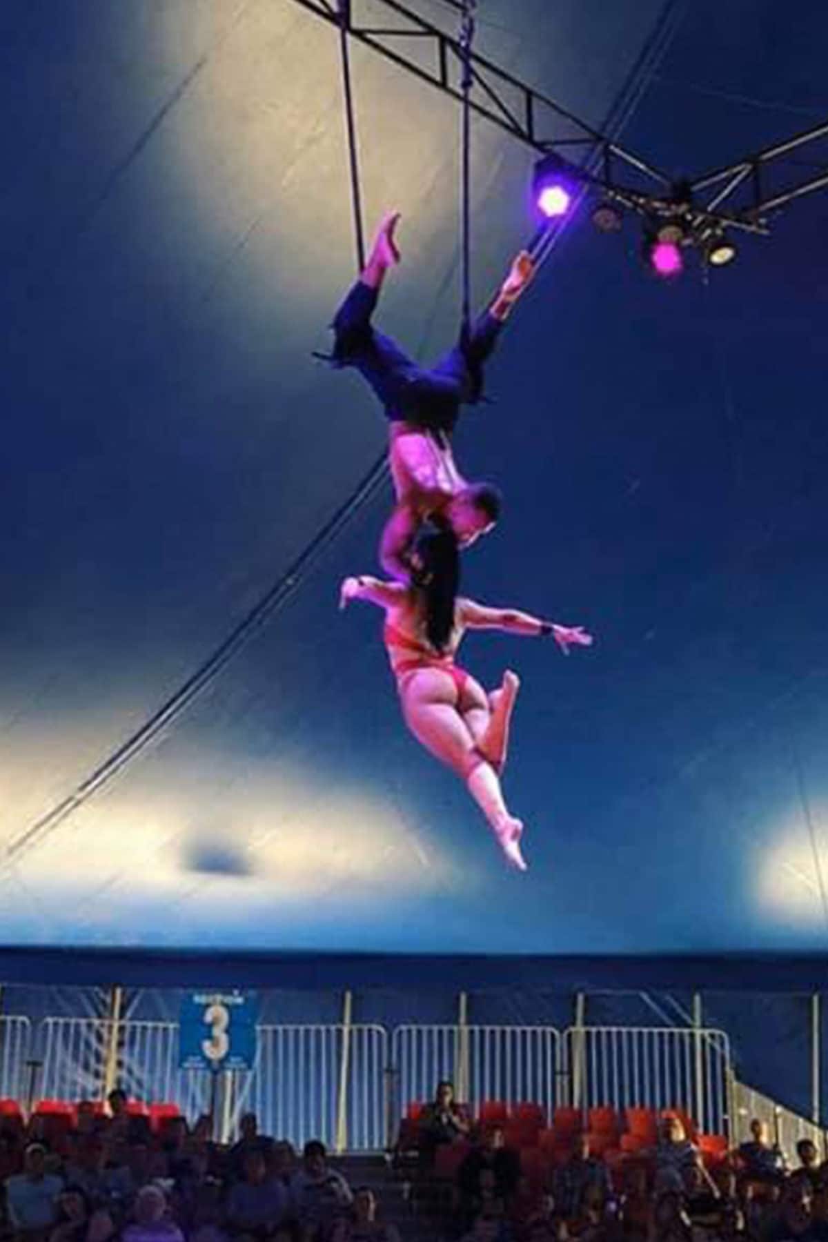 Duo Trapeze - Trix Circus - Your Safety is Our Business