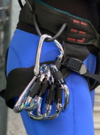 Triangle + Shackle Swivels Rigging Set - Trix Circus - Your Safety is ...