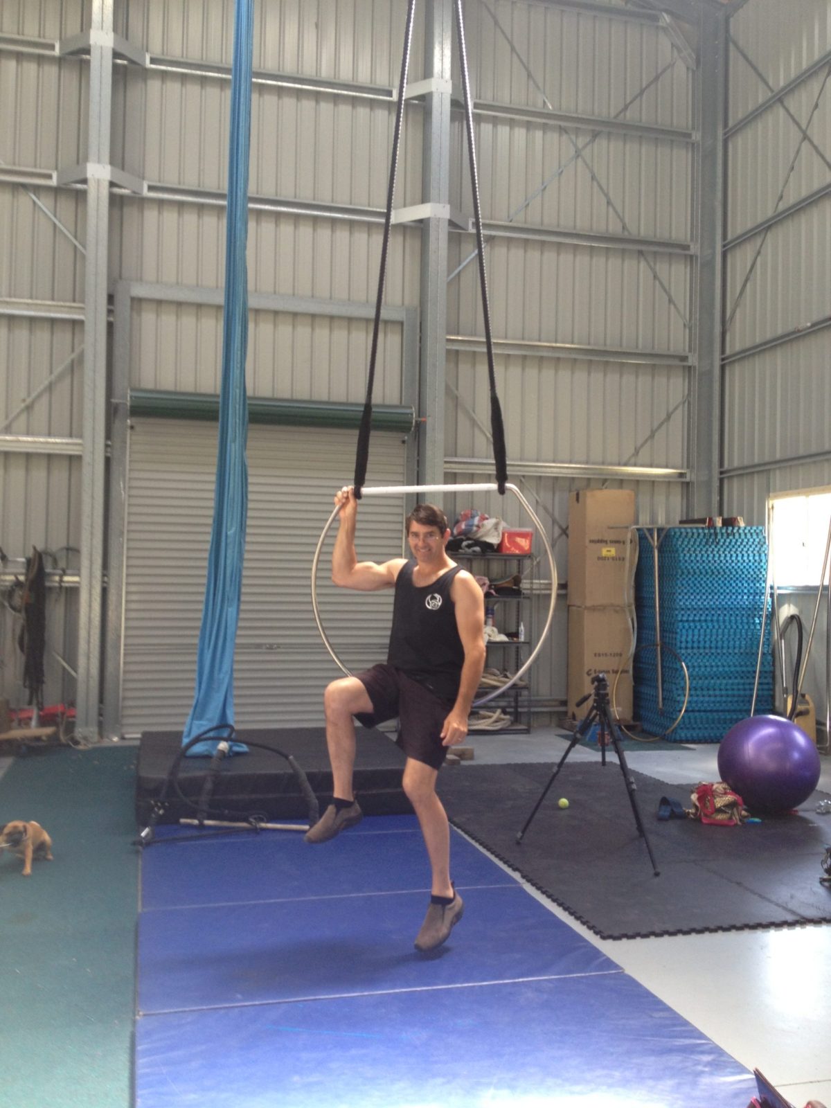 Custom - Trix Circus - Your Safety is Our Business