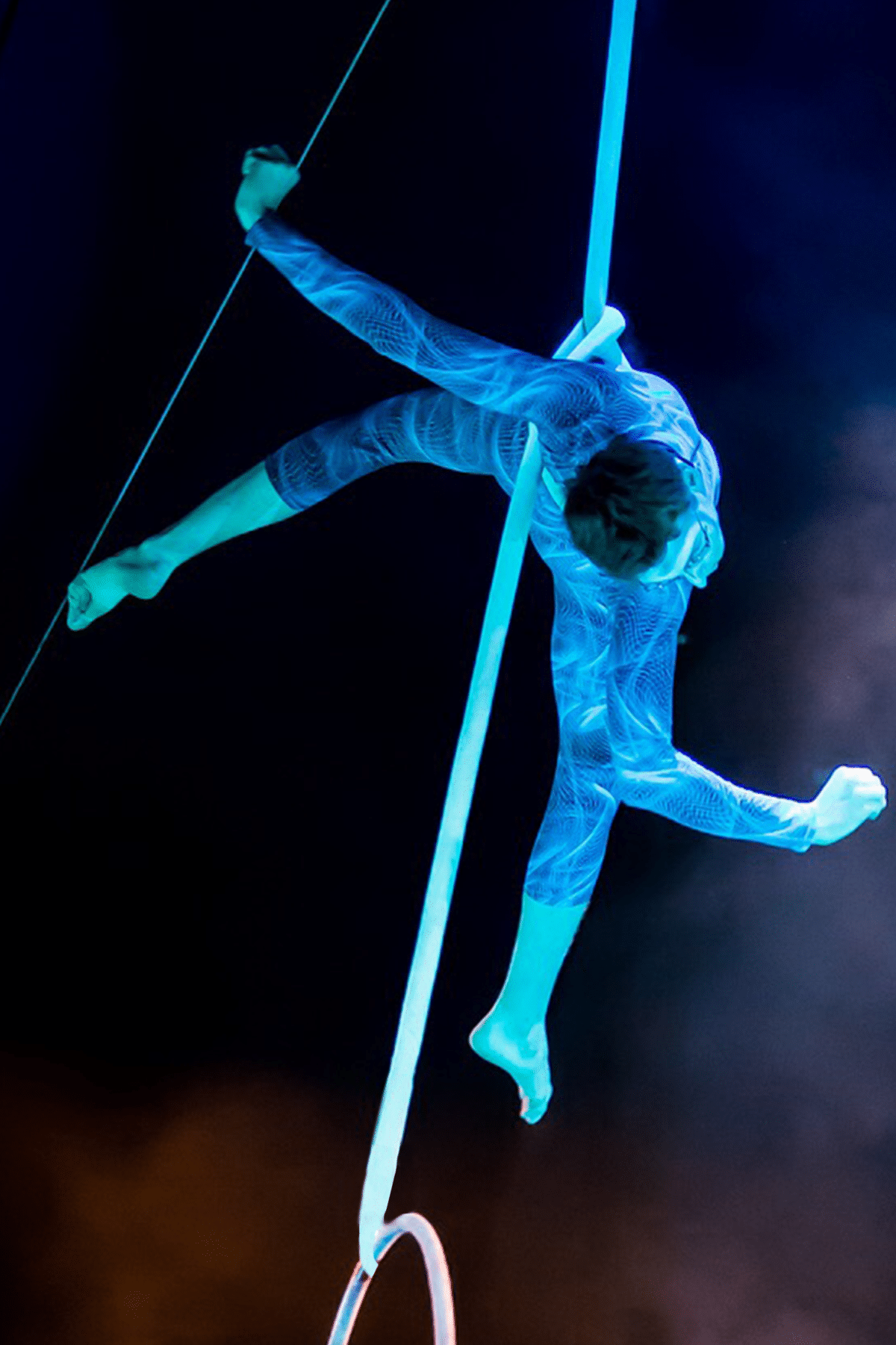 Palm Guards - Trix Circus - Your Safety is Our Business