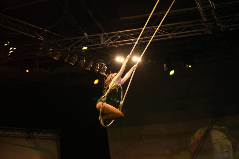 Custom - Trix Circus - Your Safety is Our Business