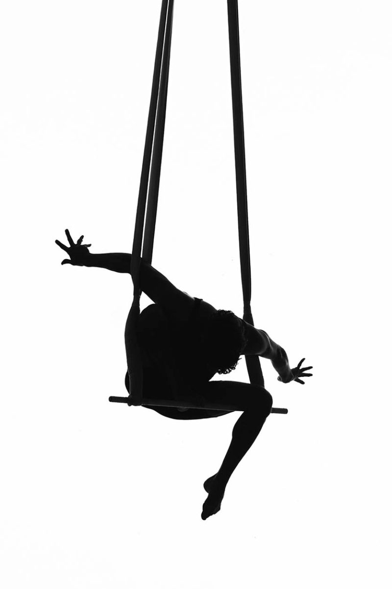 Straps Trapeze - Padded or Sliding - Trix Circus