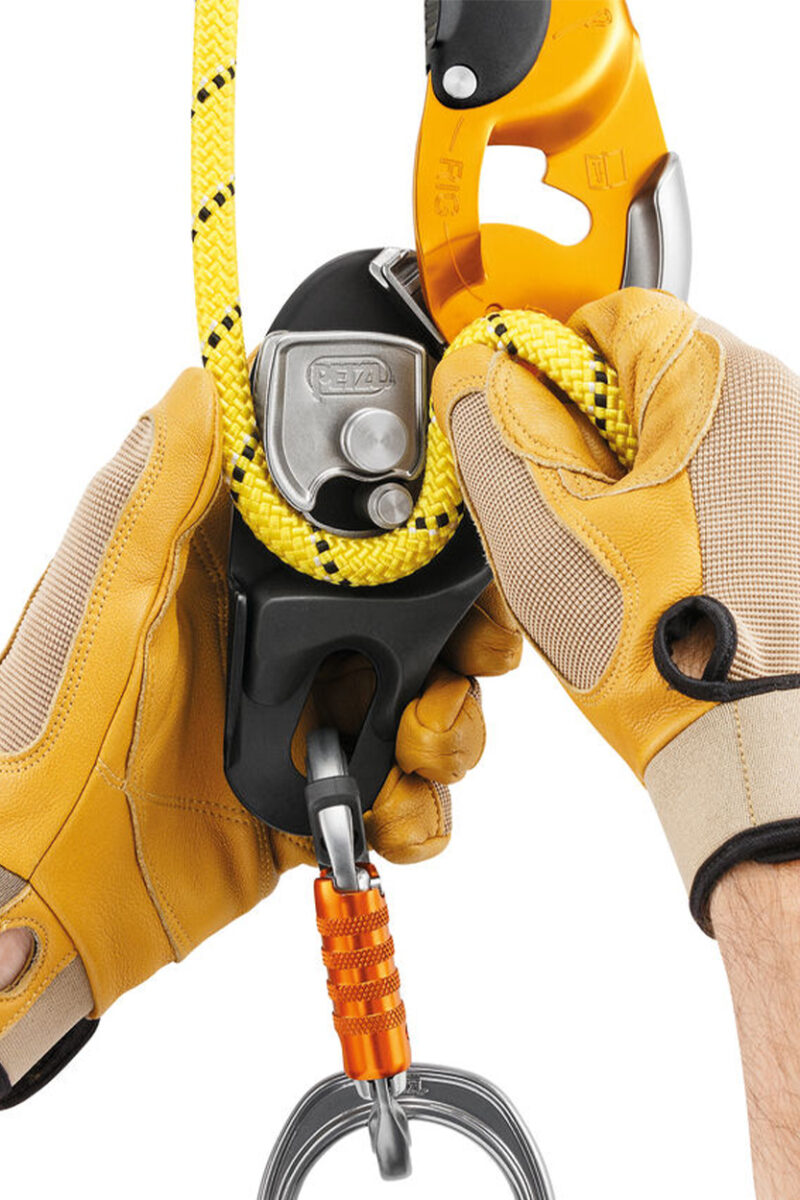 Petzl Rig® - Trix Circus - Your Safety is Our Business